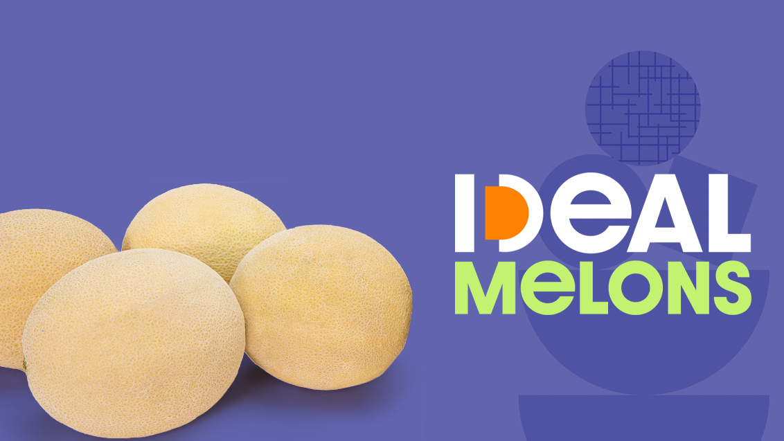 IDEAL Melons Have Higher Aromatics, Sugars, and Flesh Consistency and ...