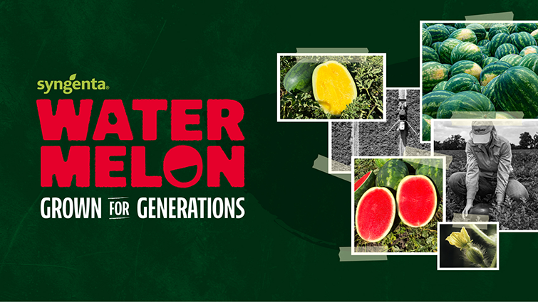 Watermelon Growth Produce Pete: A Wealth Of Watermelon | New Jersey