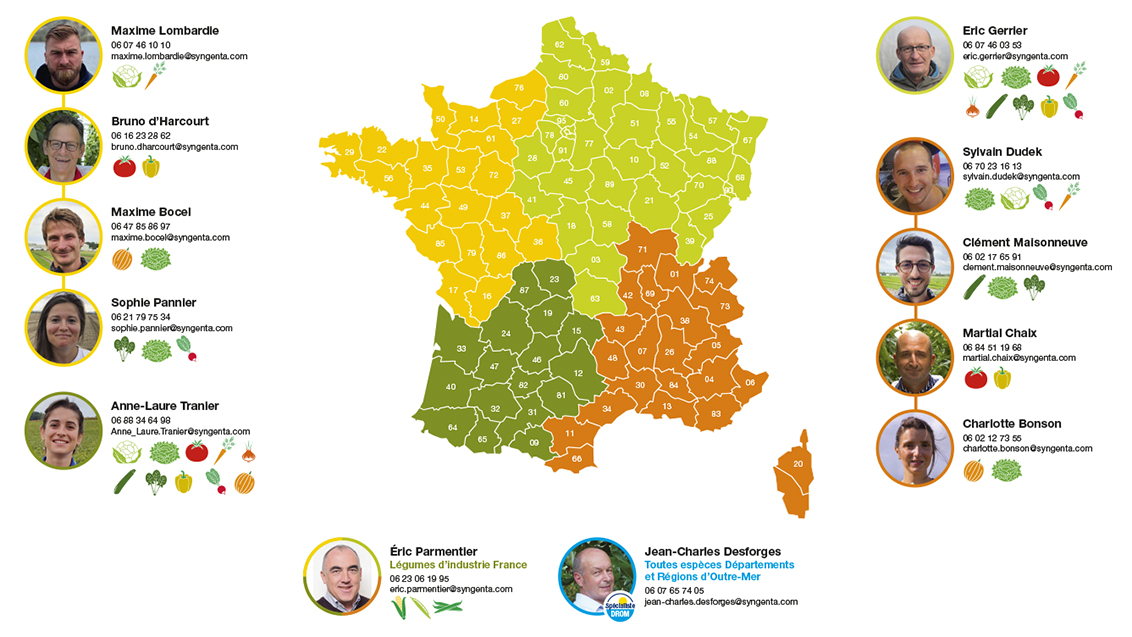 VOS CONTACTS EN RÉGION | Semences potagères Syngenta France