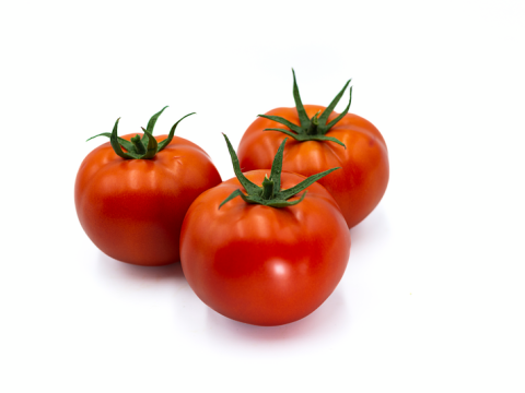 Tomato | Syngenta Semillas de Vegetales México