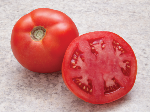 Tomato | Syngenta Semillas de Vegetales México