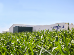 Syngenta Seed Dealer Locator | Syngenta France Catalogue – TZXPTR