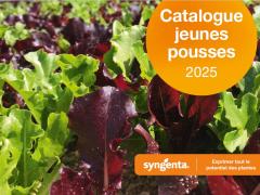France | Semences potagères Syngenta France