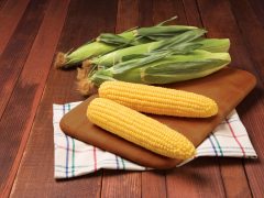 KANDY KORN EH - Variety Sweet Corn | Syngenta Vegetable Seeds US