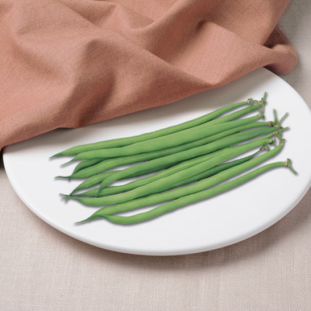 SERENGETI - Variety Ejote | Syngenta Semillas de Vegetales México