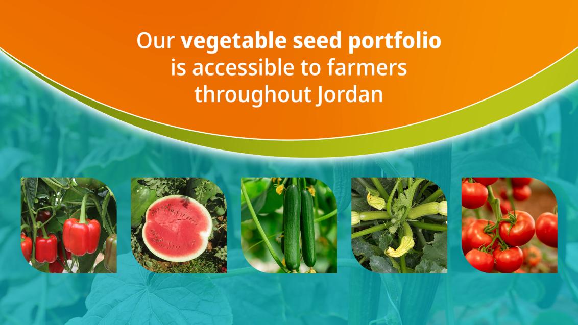 Portfolio | Syngenta Vegetable Seeds Jordan