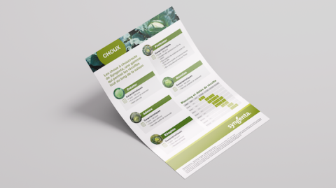 Documents utiles | Semences potagères Syngenta France