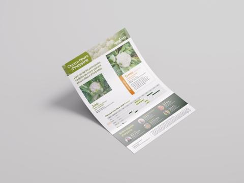Documents utiles | Semences potagères Syngenta France
