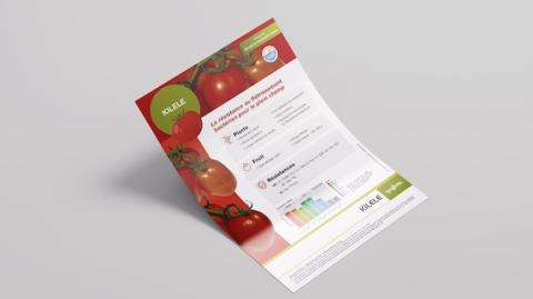 Documents utiles | Semences potagères Syngenta France