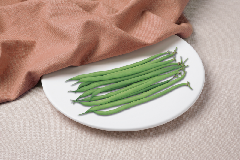 SERENGETI - Variety Ejote | Syngenta Semillas de Vegetales México