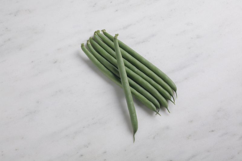 GREENBACK - Variety Ejote | Syngenta Semillas de Vegetales México