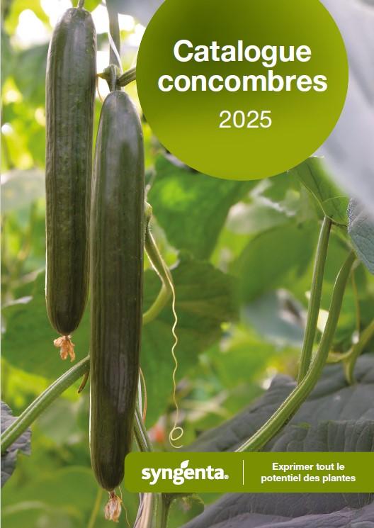 Syngenta élargit son offre en France avec l’arrivée du concombre ...