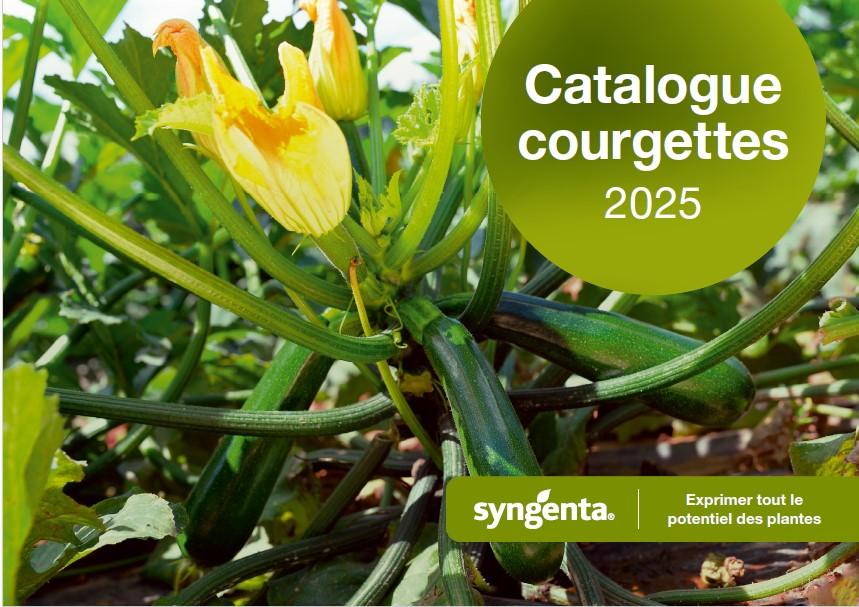 Syngenta vous présente sa nouvelle gamme résistante au ToLCNDV en ...