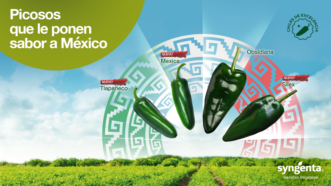 Chiles picosos registro | Syngenta Semillas de Vegetales México