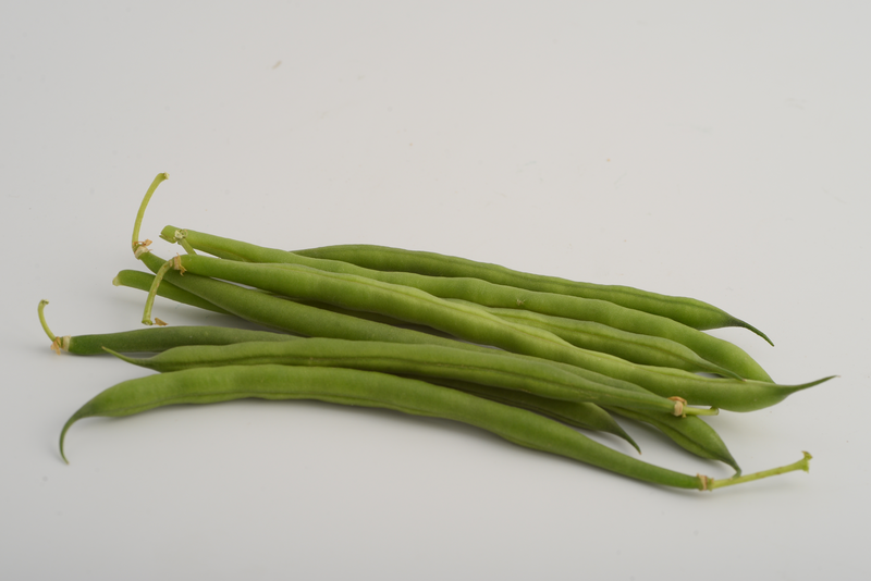 TIBESTI - Variety Ejote | Syngenta Semillas de Vegetales México