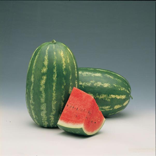 FARAO - Variety Watermelon | Syngenta Vegetable Seeds