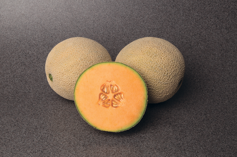 GOLD CROWN - Variety Melon | Syngenta Vegetable Seeds US