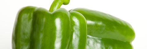 BALTA - Variety Pepper | Syngenta Vegetable Seeds