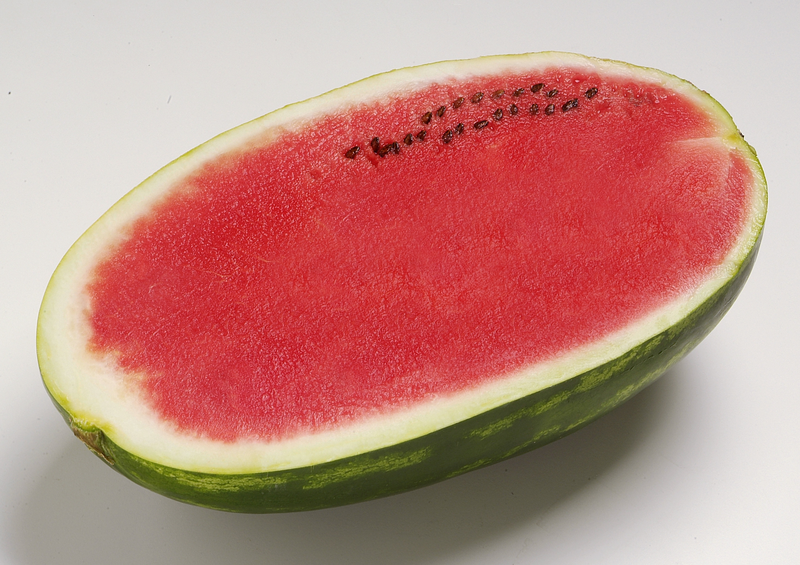 FARAO - Variety Watermelon | Syngenta Vegetable Seeds