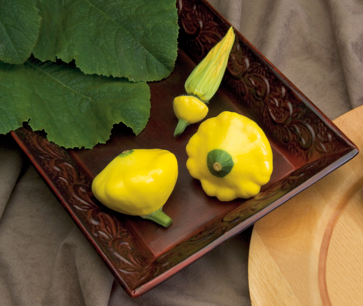 SUNBURST - Variety Calabaza | Syngenta Semillas de Vegetales México