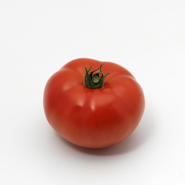 MEGADENA - Variety Tomato | Syngenta Vegetable Seeds US