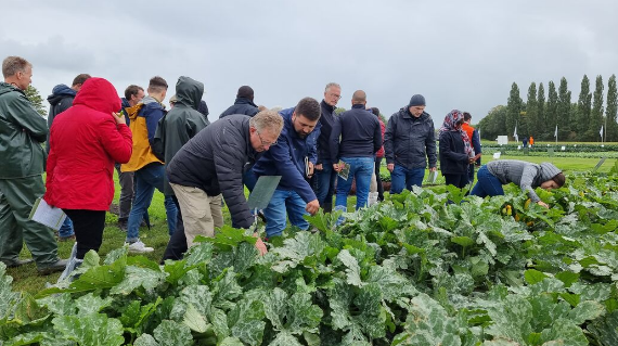 France | Semences potagères Syngenta France