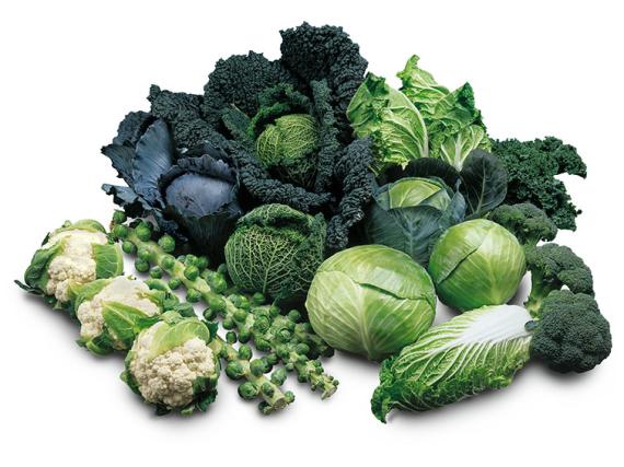 Brassicas | Syngenta Vegetable Seeds