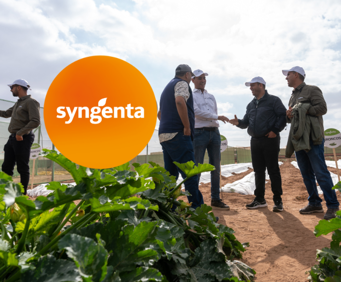 Kenya | Syngenta Vegetable Seeds Kenya