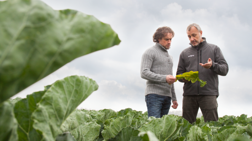 Sobre nós | Syngenta Sementes de Hortaliças Brasil