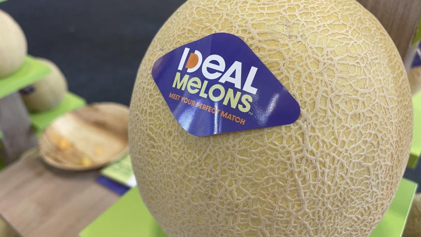 IDEAL Melons Wins the Fruit Logistica Innovation Silver Award ...