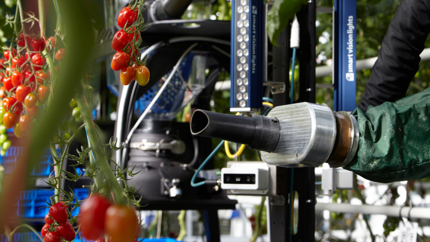 Robotic Tomato Harvesting Enables Faster Innovations in Research and ...