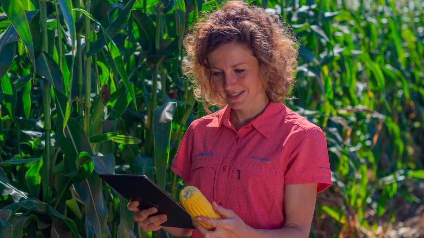VOS CONTACTS EN RÉGION | Semences potagères Syngenta France