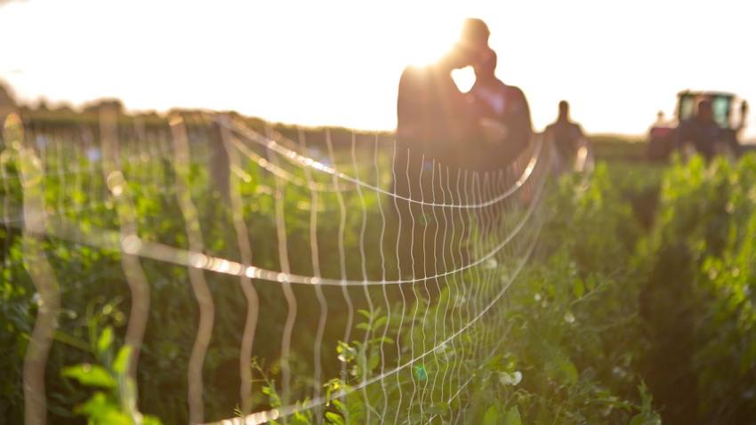 Contactez-nous | Semences potagères Syngenta France