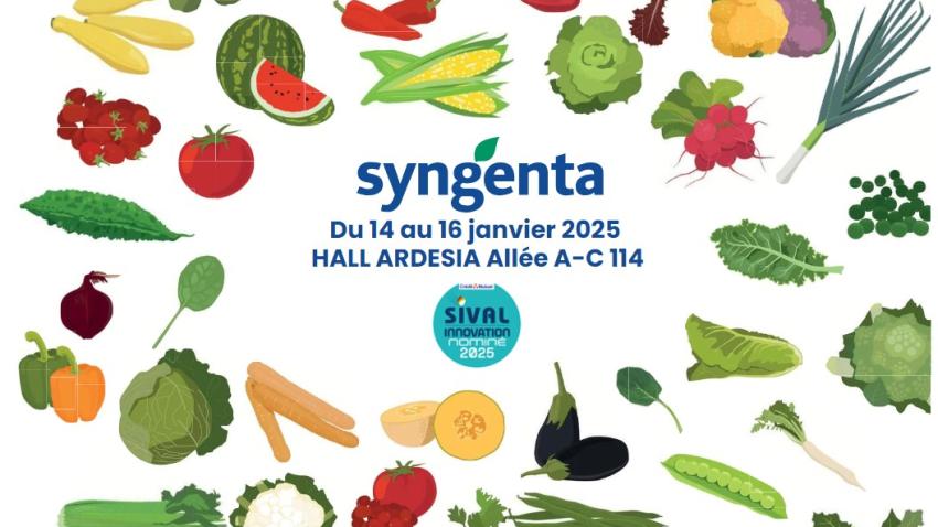 France | Semences potagères Syngenta France